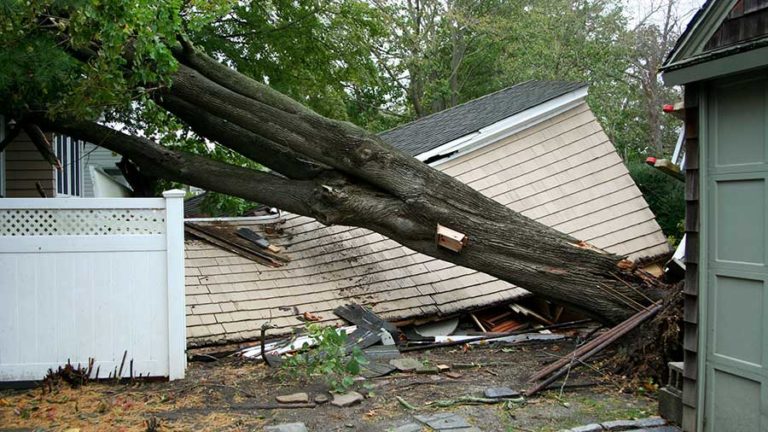 Storm Damage Cleanup & Tree Services in Bucks County, PA