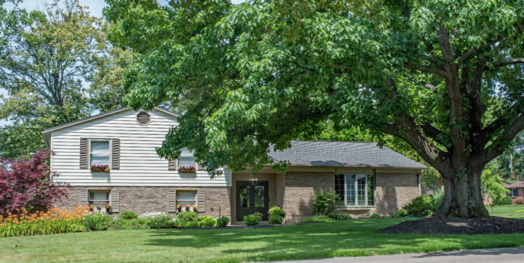 A residential home with an oak tree in the front yard